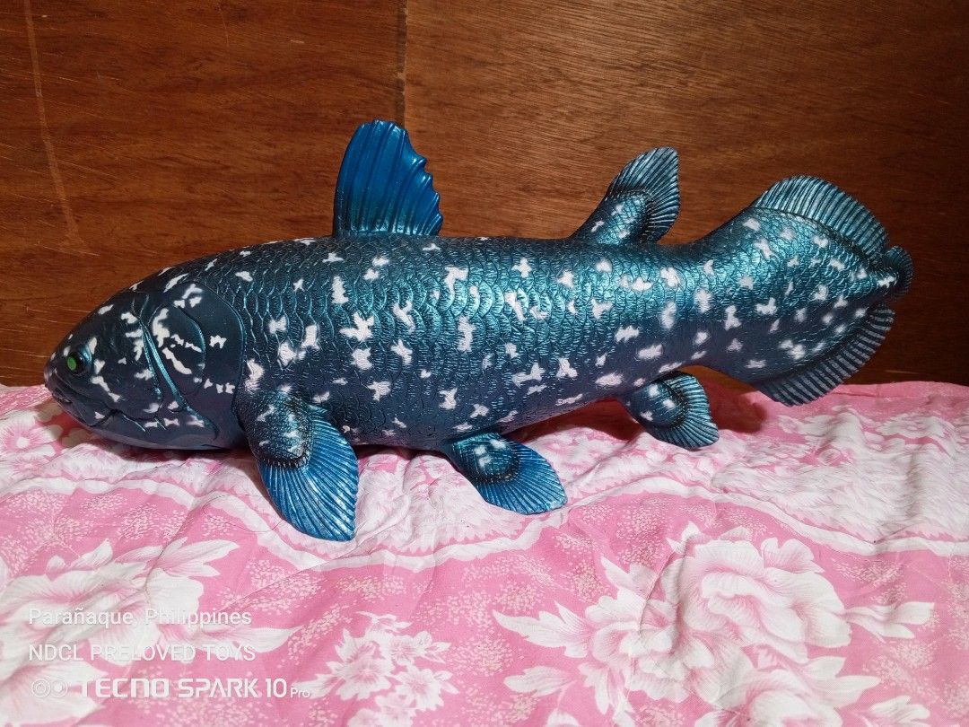 Lobe-Finned fish, Hobbies & Toys, Toys & Games on Carousell