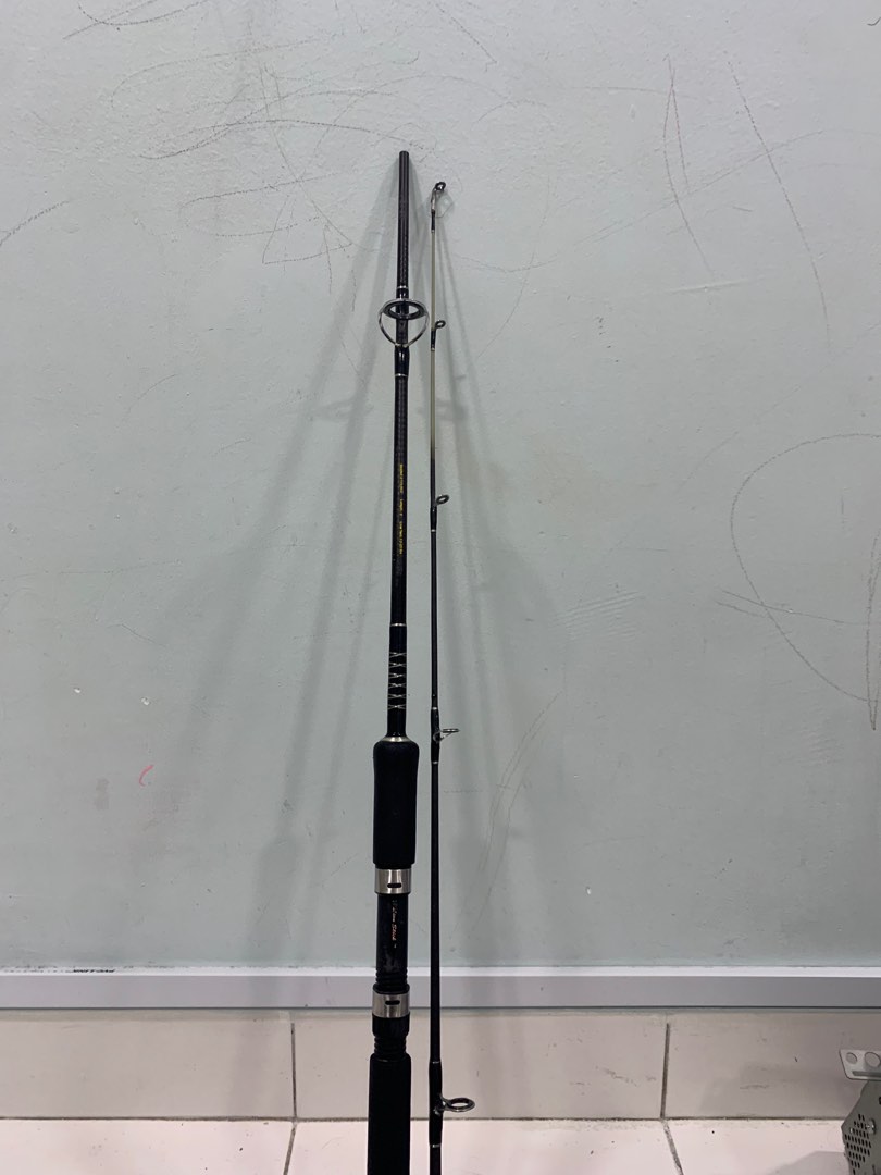 Rod Lion Stick, Sports Equipment, Fishing on Carousell