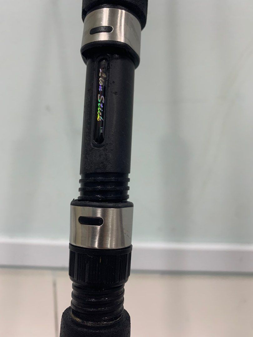 Rod Lion Stick, Sports Equipment, Fishing on Carousell