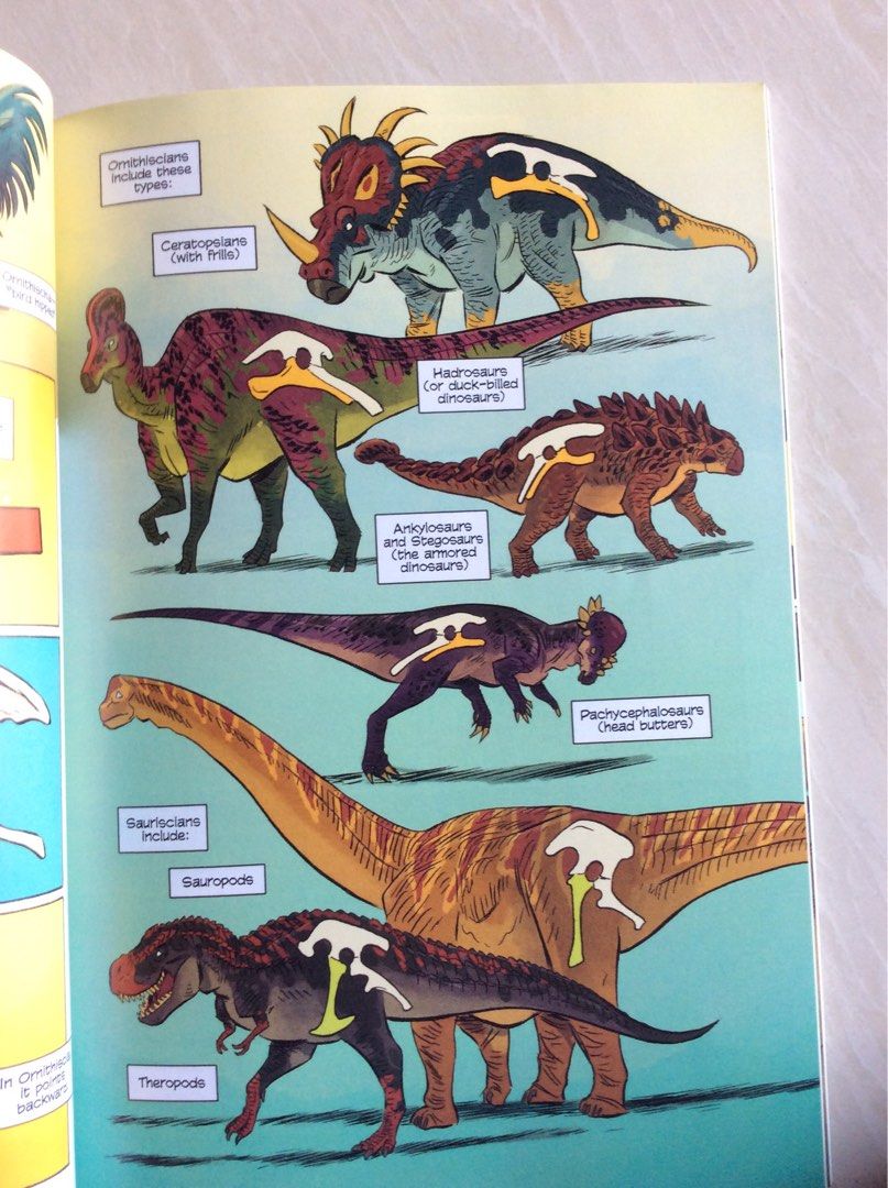 Science comics Dinosaurs Fossils and Feathers, Hobbies & Toys, Books ...