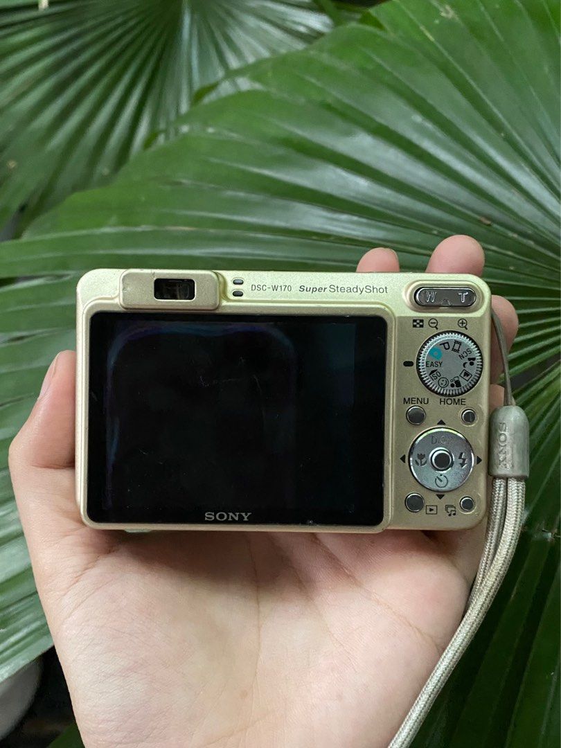 SONY CYBERSHOT DSC-W170, Photography, Cameras on Carousell
