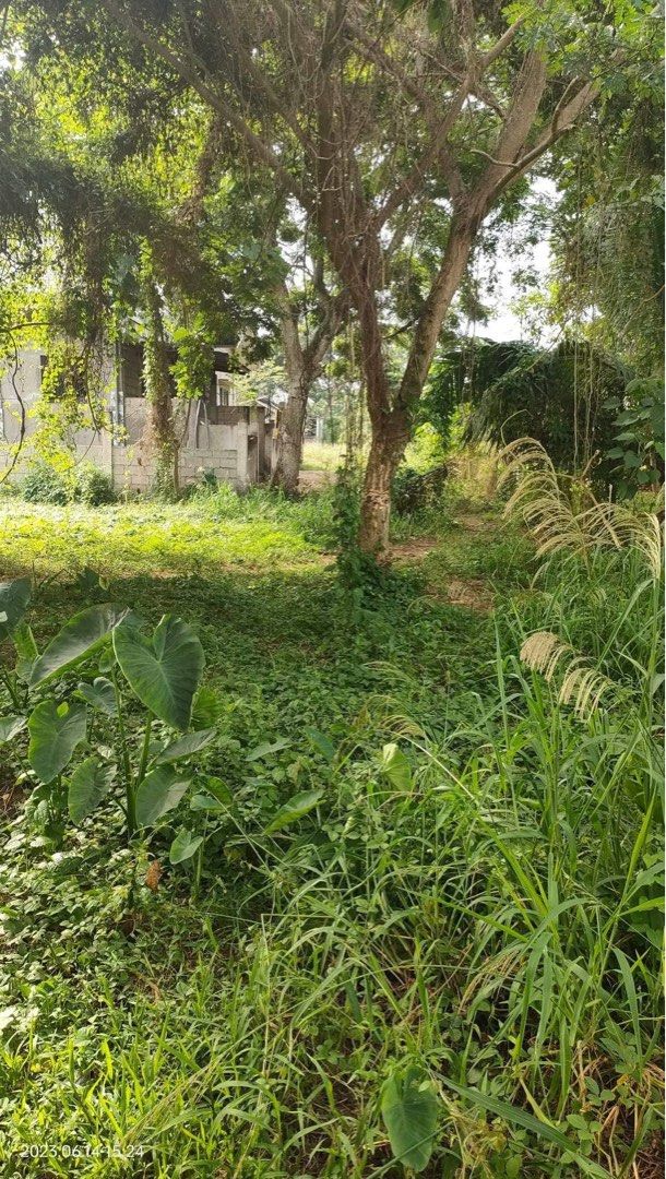 Zamboanga City Boalan Lot, Property, For Sale, Lot on Carousell