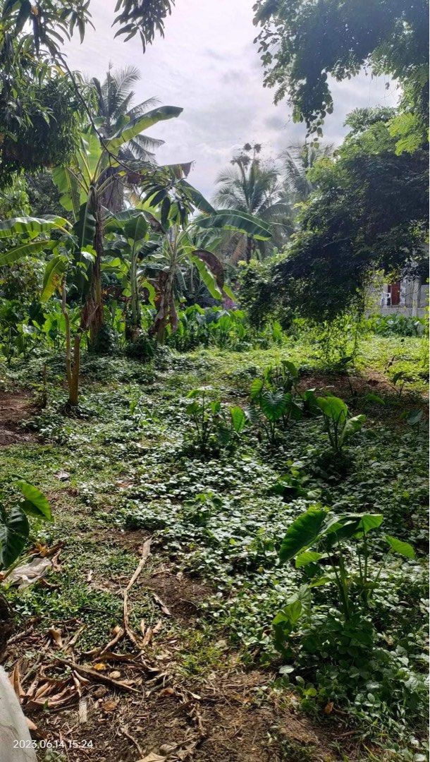 Zamboanga City Boalan Lot, Property, For Sale, Lot on Carousell