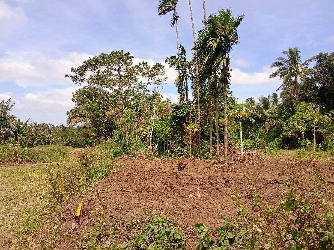 Agricultural farm lot for sale near Splendido , Property, For Sale, Lot ...