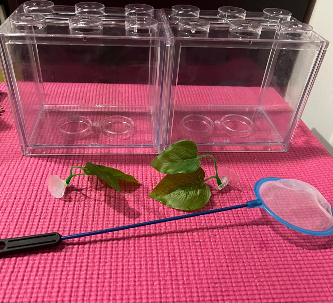 Betta fish lego tank and accessories(Please read description!), Pet ...