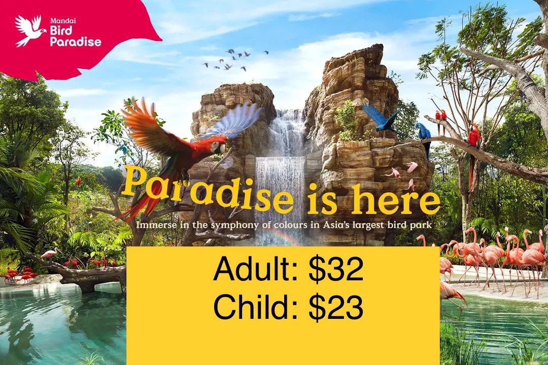 Bird Paradise Ticket Adult $32, Child $23 Bird Park, Tickets & Vouchers ...