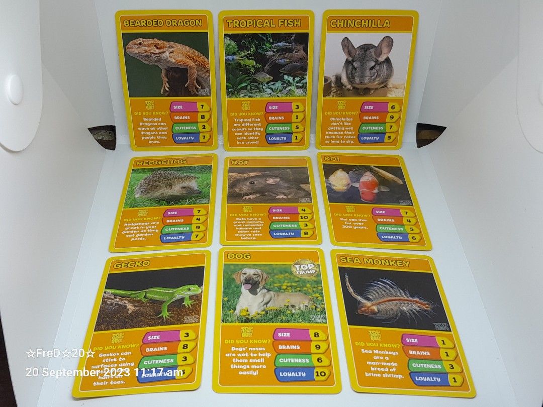 Complete 2020 Top Trumps Play Discover Favourite Pets Card Game ...