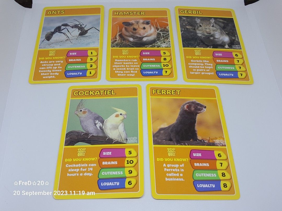 Complete 2020 Top Trumps Play Discover Favourite Pets Card Game ...