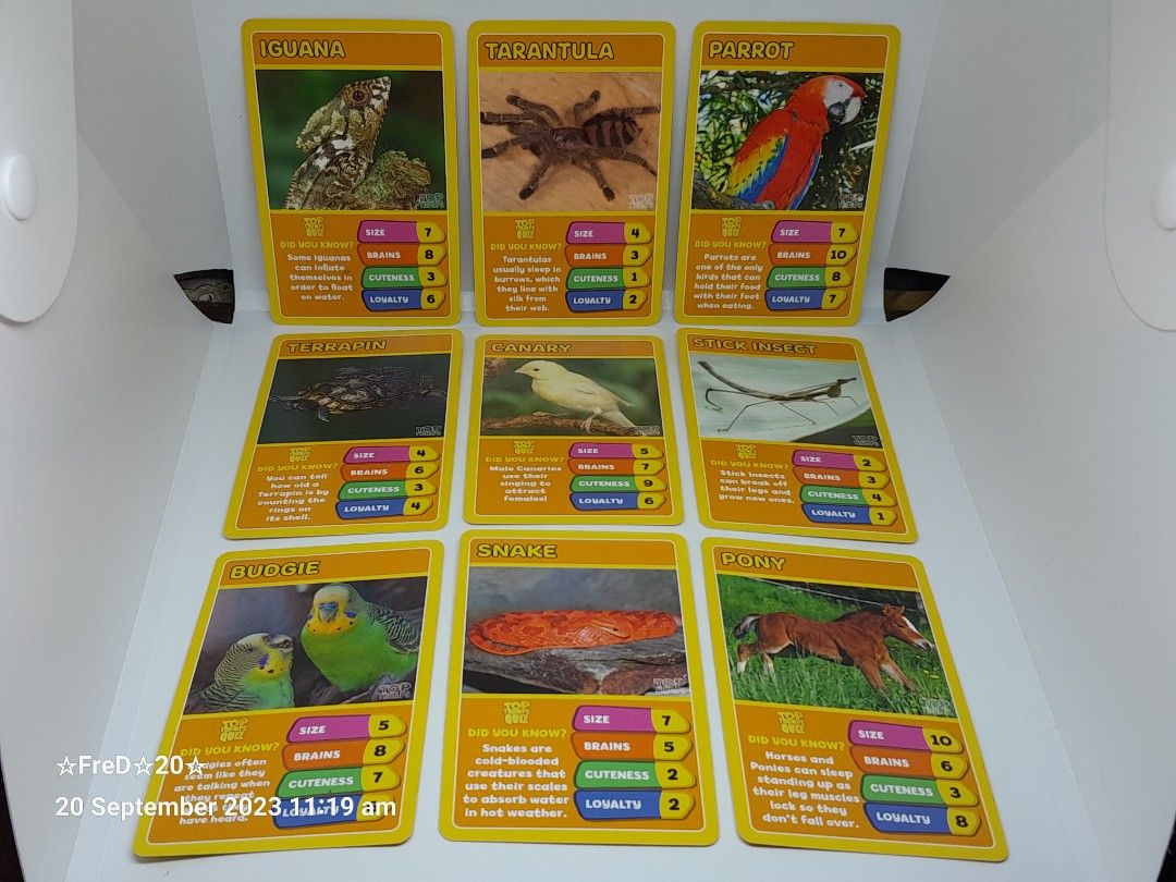 Complete 2020 Top Trumps Play Discover Favourite Pets Card Game ...