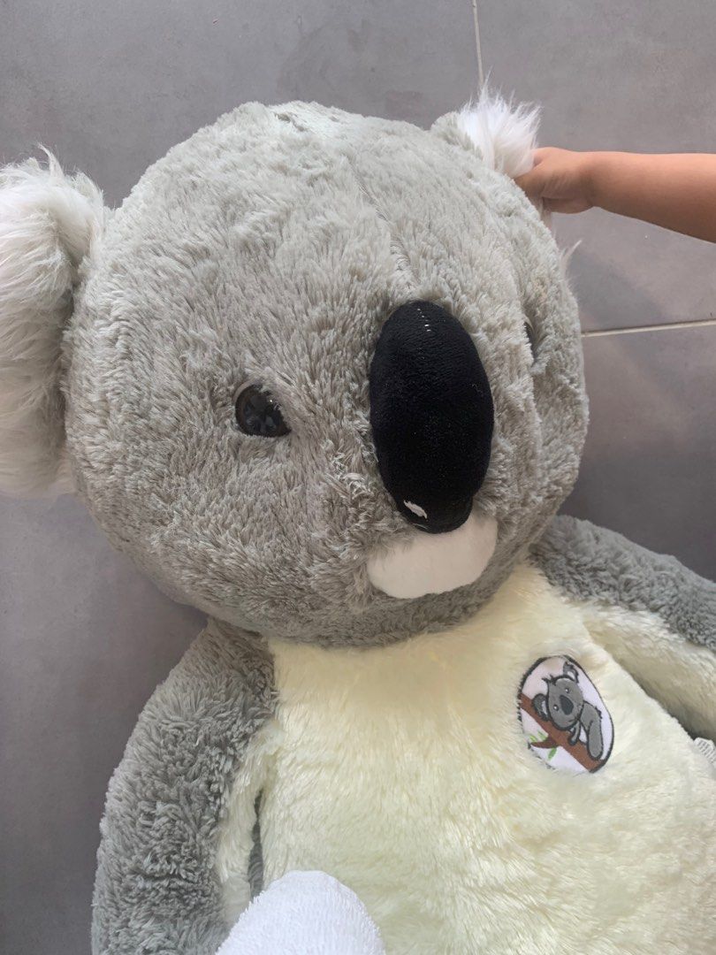 GIANT big Koala Australian Softoys 4ft long, Hobbies & Toys, Toys ...