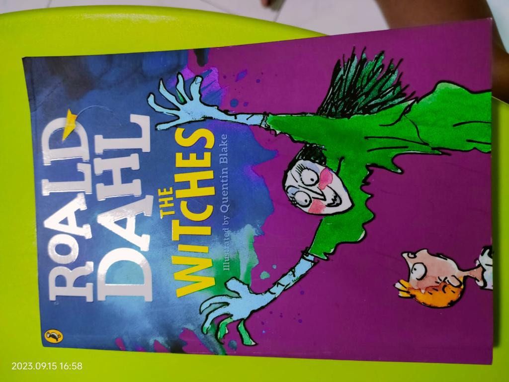 Roald Dhal witches, Hobbies & Toys, Books & Magazines, Children's Books ...