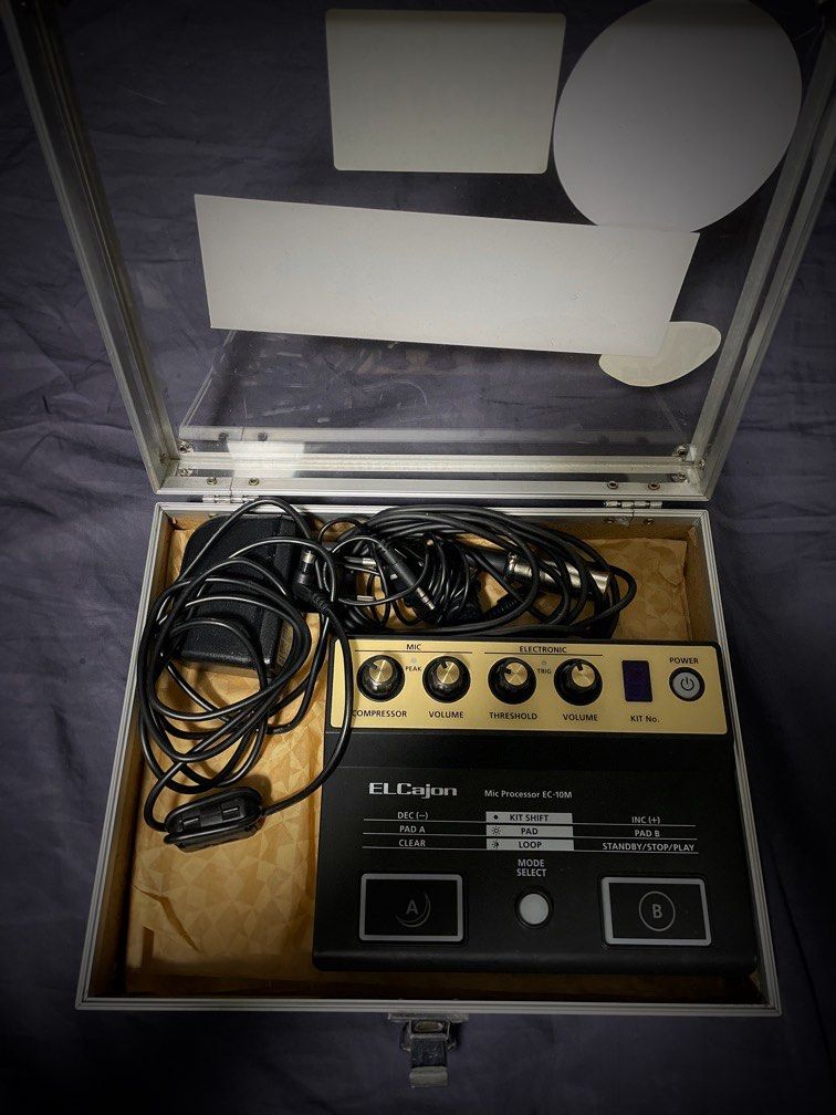 Roland EC-10M ELCajon Mic Processor Cajon, Hobbies & Toys, Music ...
