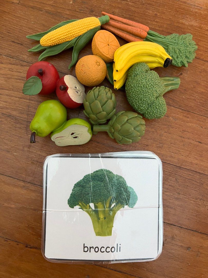 Safari Toobs and Montessori Cards, Babies & Kids, Infant Playtime on ...