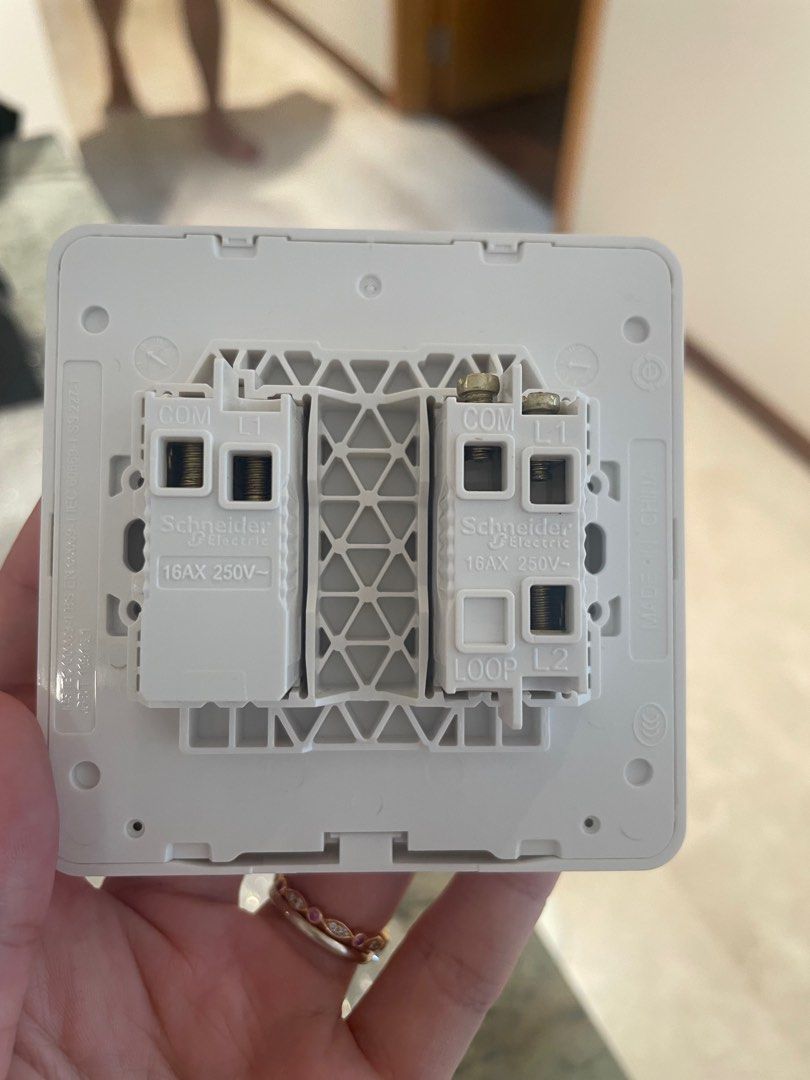 Schneider 2 gang switch, Computers & Tech, Parts & Accessories, Other ...