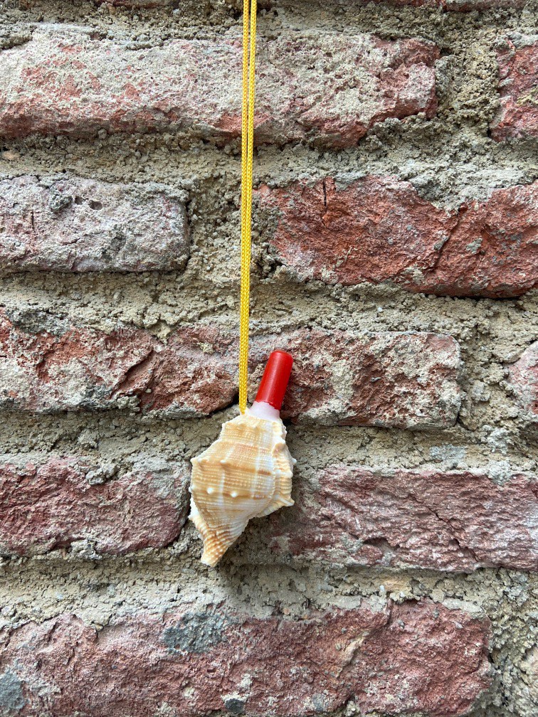 Shell Whistle, Hobbies & Toys, Music & Media, Music Accessories on ...