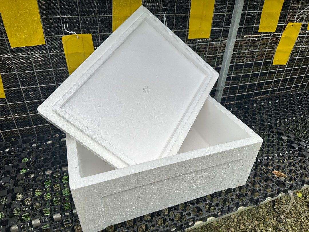 Styrofoam box, Everything Else on Carousell