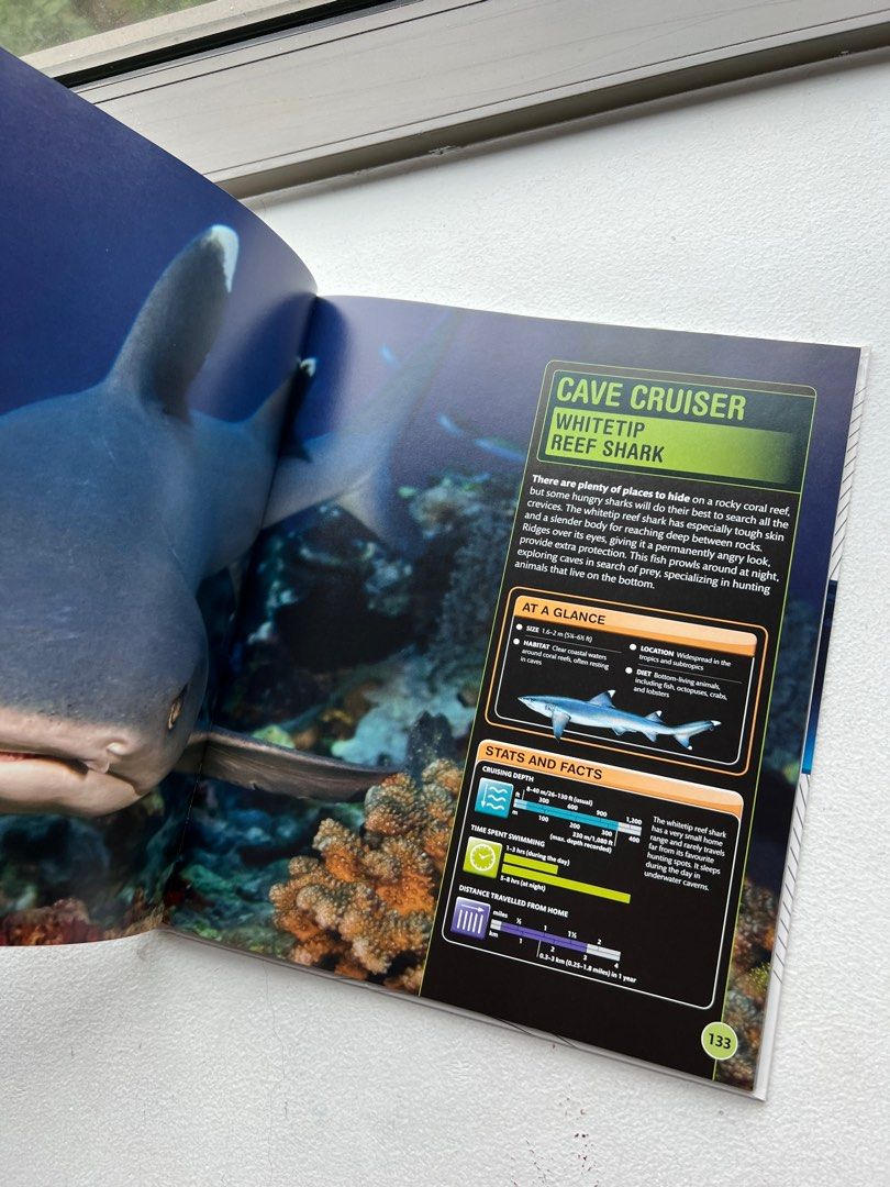 Super Shark Encyclopedia: And Other Creatures of the Deep, Hobbies ...