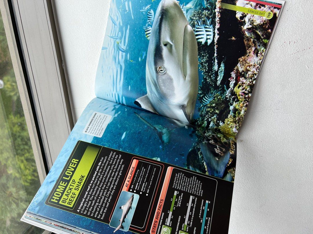 Super Shark Encyclopedia: And Other Creatures of the Deep, Hobbies ...