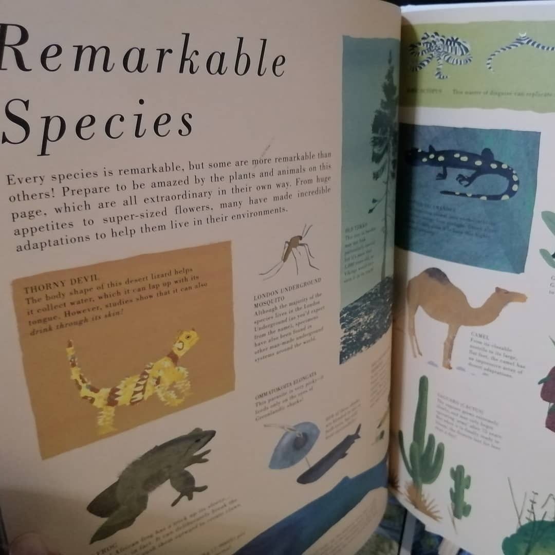 The Earth Book Jonathan Litton, Hobbies & Toys, Books & Magazines ...