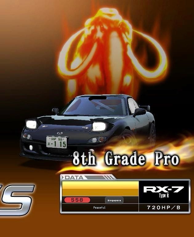 Wmmt Rx-7 8 grade pro / RX-8 4 grade, Video Gaming, Gaming Accessories ...