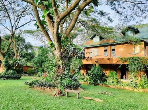 4-Hectare Beautiful Tuscan Resort Farm with Swimming Pool For Sale in ...