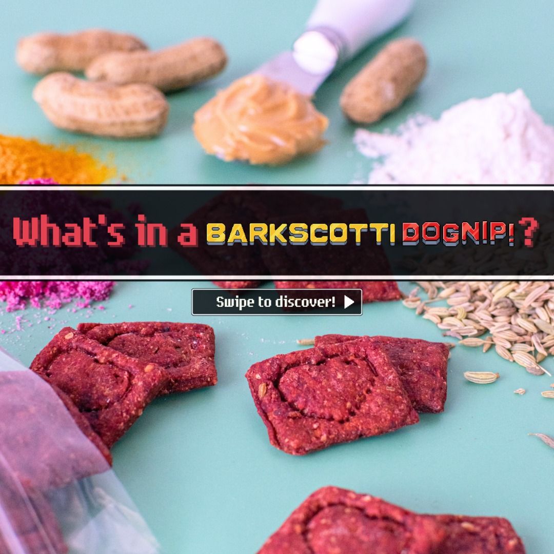 8BitesPH Barkscotti Dognip All Natural No Preservative Dog Treat ...
