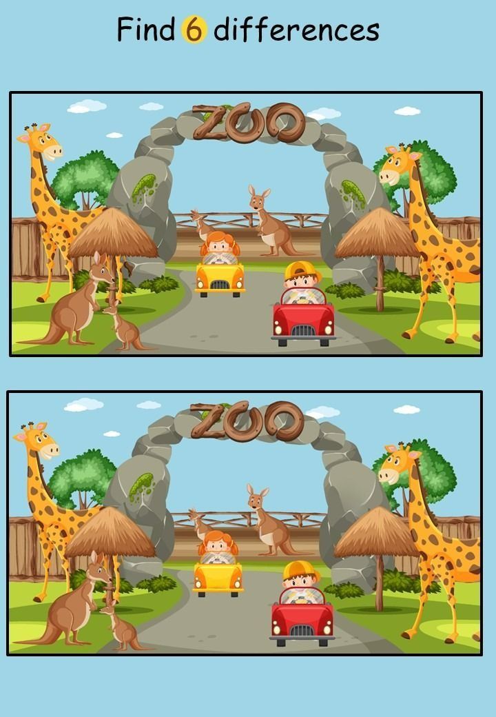 Spot the differences - Zoo Edition, Hobbies & Toys, Books & Magazines ...