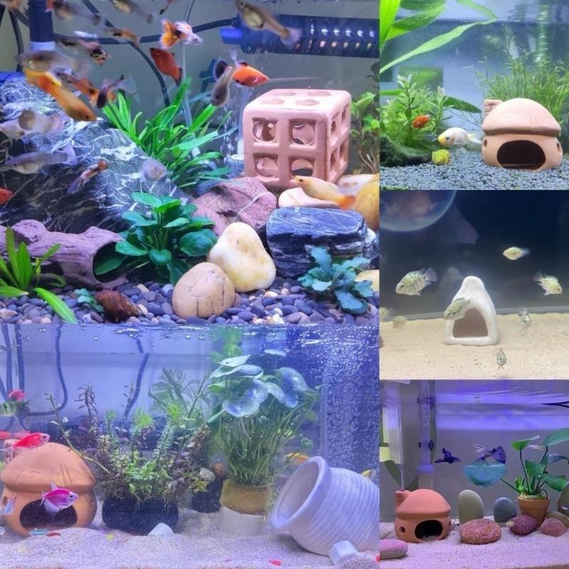 Aquarium Tunnel Cave Aquarium Underground Cave Fish Hide Fish Tunnel