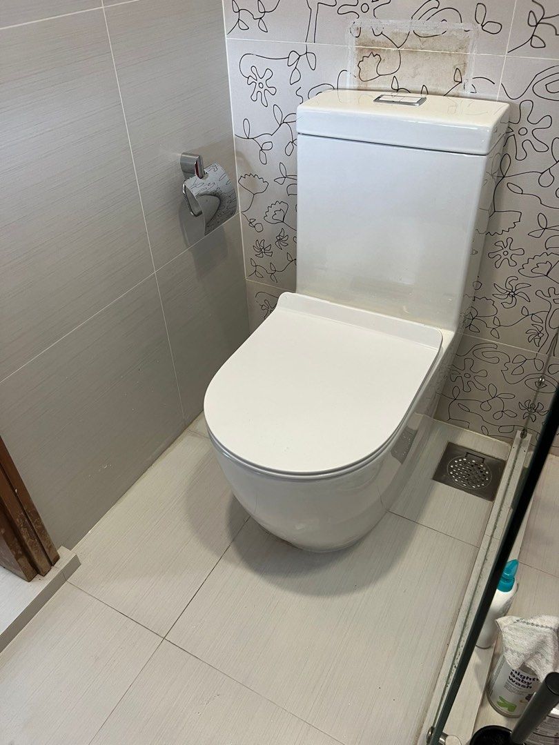 BARON W818 RIMLESS TOILET BOWL WITH GEBERIT FLUSHING SYSTEM, Furniture ...