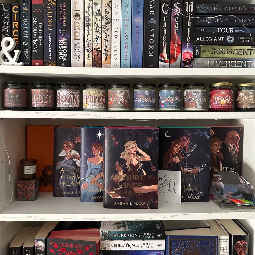 Booktok books/SJM core, Hobbies & Toys, Books & Magazines, Fiction ...