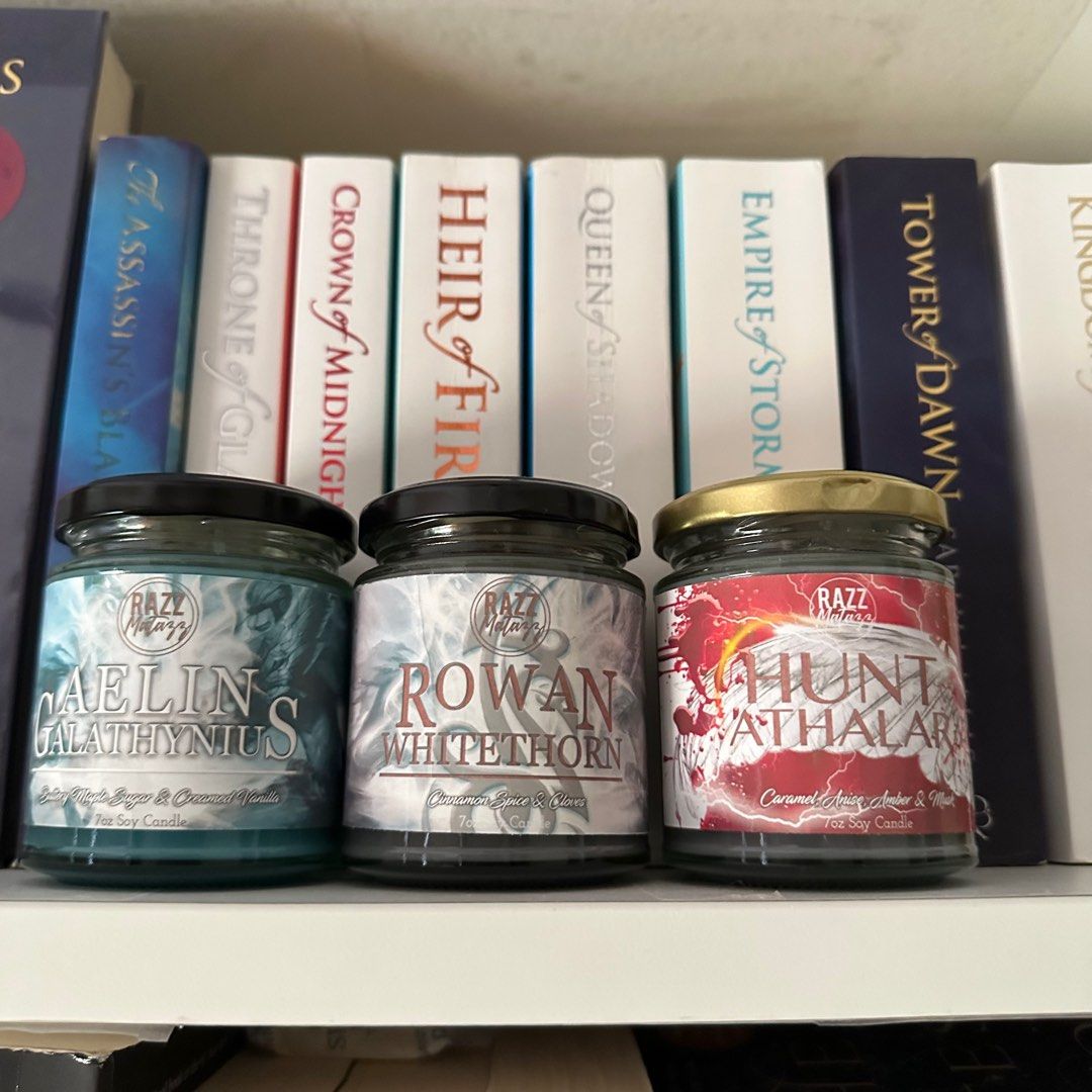 Booktok books/SJM core, Hobbies & Toys, Books & Magazines, Fiction ...