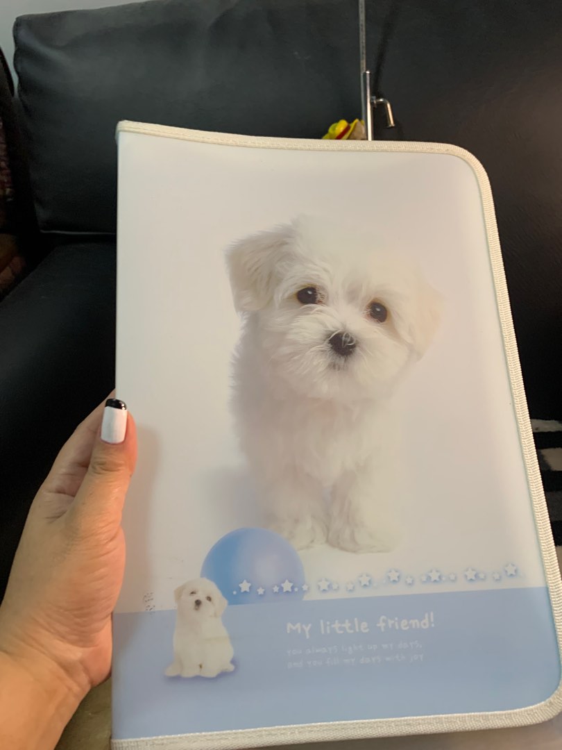 Cute puppy zipped folder, Hobbies & Toys, Stationary & Craft ...