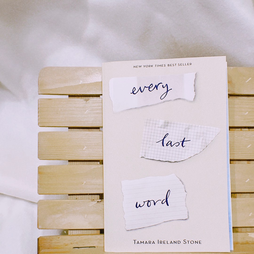 Every Last Word by Tamara Ireland Stone, Hobbies & Toys, Books ...