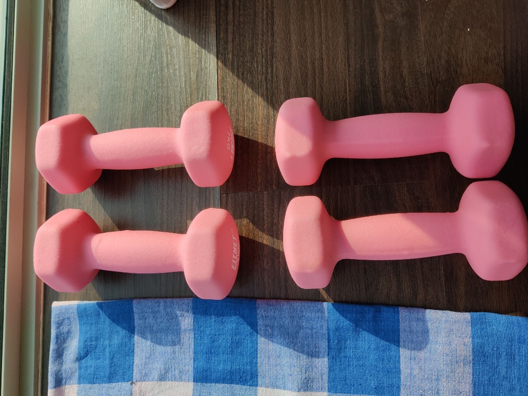 Fitnet Dumbbells, Sports Equipment, Exercise & Fitness, Weights ...