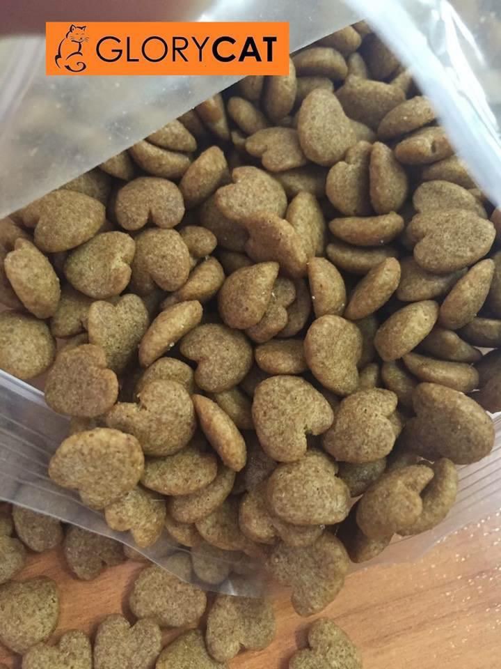 Glory Cat Dry Food 8 kg ( 100% Original ), Pet Supplies, Pet Food on ...