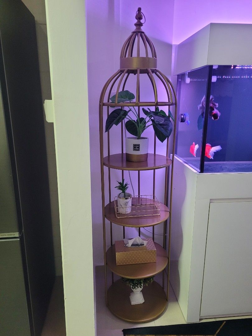 Gold bird cage shelf shelves, Furniture & Home Living, Furniture ...