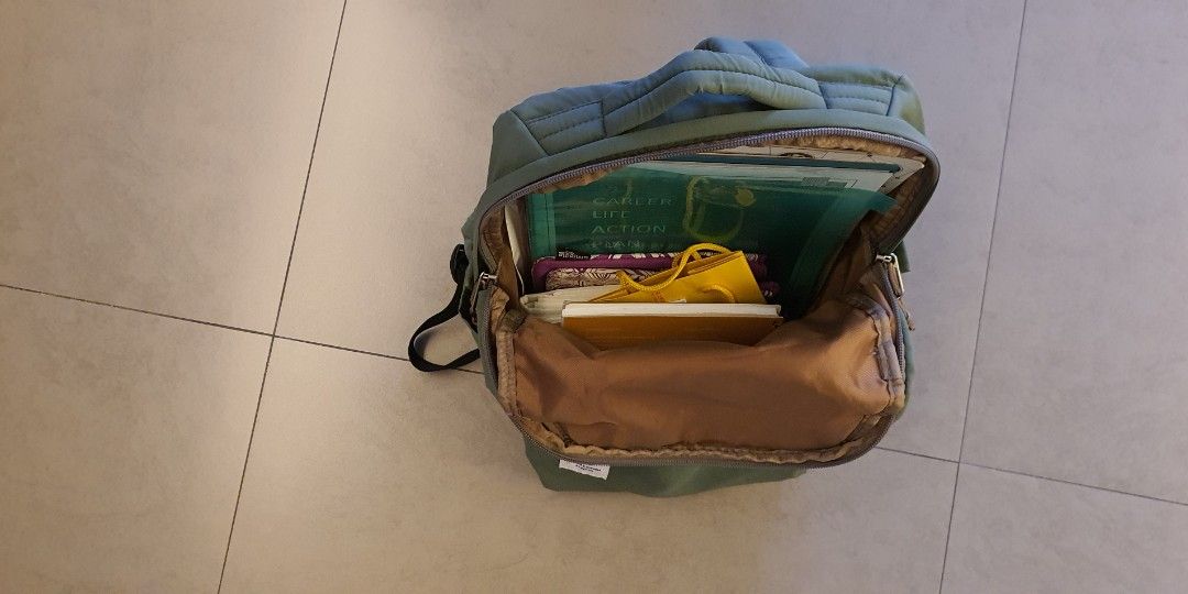 Hellolulu Mini Carter Backpack, Women's Fashion, Bags & Wallets ...