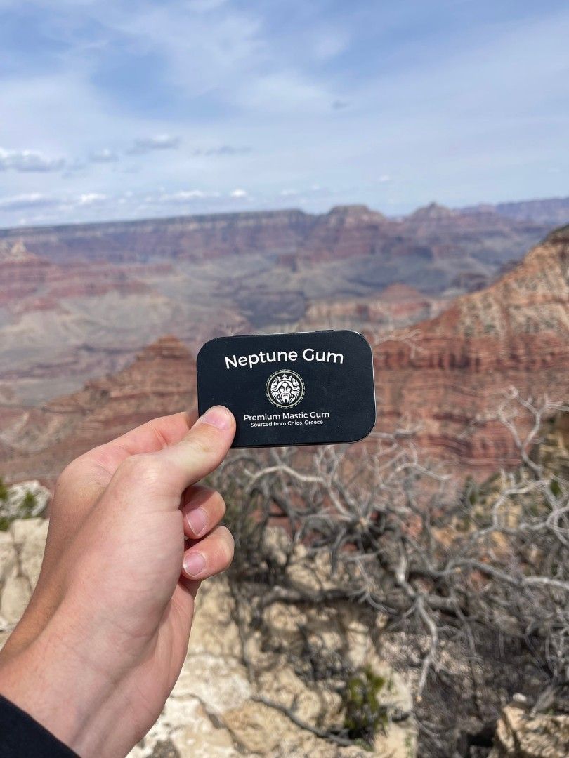 Neptune gum for ginormous jawline, Food & Drinks, Packaged & Instant ...