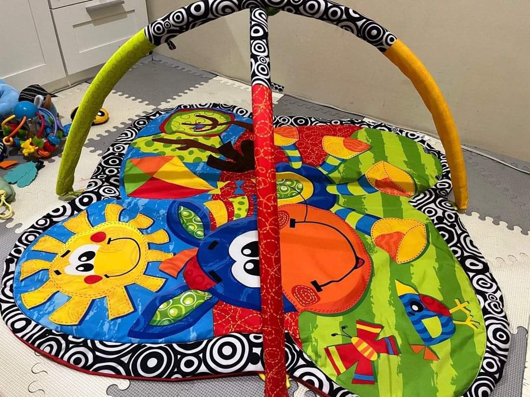 Playgro Activity Gym for Baby, Babies & Kids, Infant Playtime on Carousell