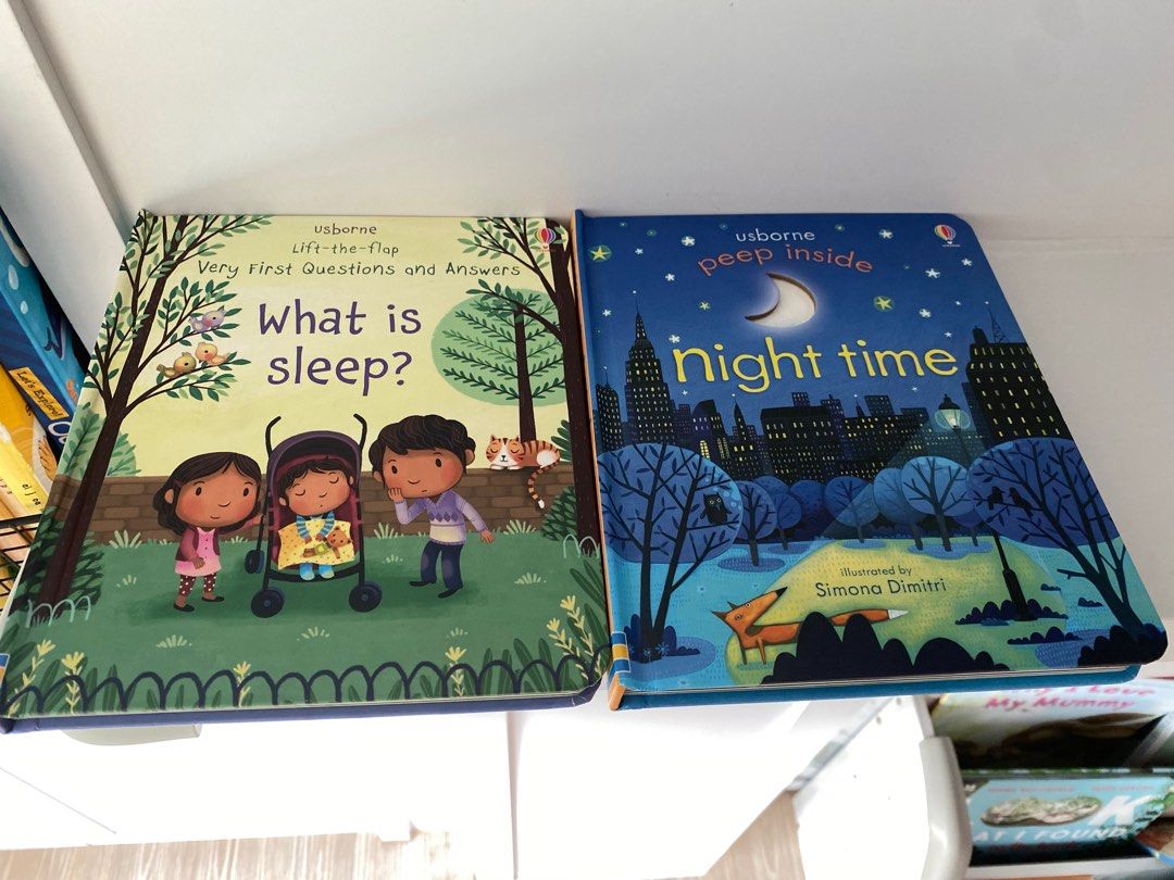 Usborne Set: Lift-the-flap What is Sleep & Peep Inside Night Time ...
