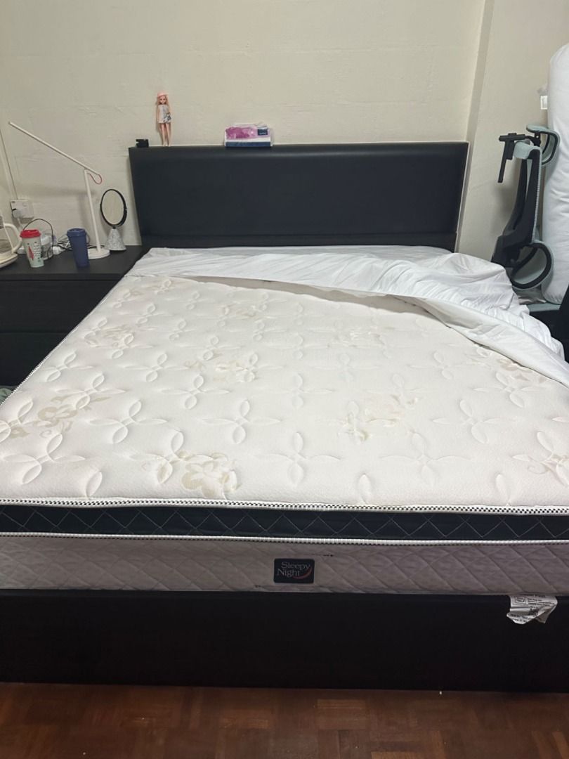 Sleepy Night Bed Frame - Chester Plush, Furniture & Home Living ...