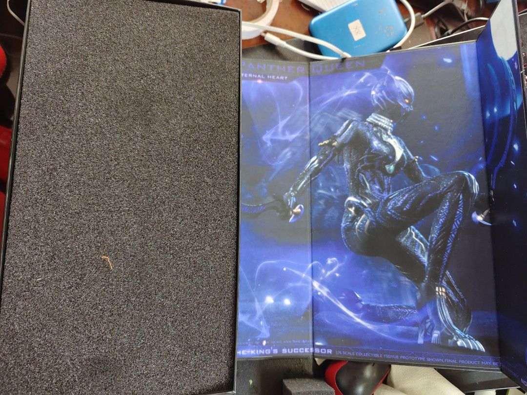 1/6 Panther Queen Deluxe Edition (WS011B) war story, Hobbies & Toys ...