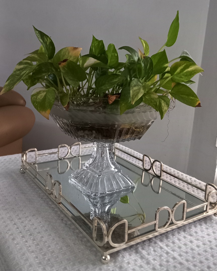 Elegant Standing Glass Bowl with Celia Plant, Furniture & Home Living ...