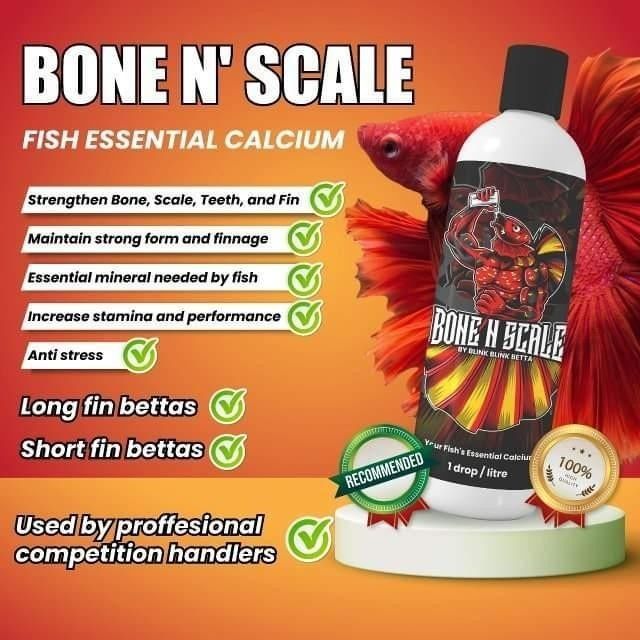 Bone N Scale Calcium | Betta Fish Calcium Supplement | Kalsium Suplemen ...