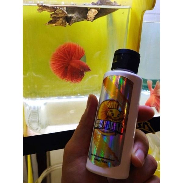 Bone N Scale Calcium | Betta Fish Calcium Supplement | Kalsium Suplemen ...