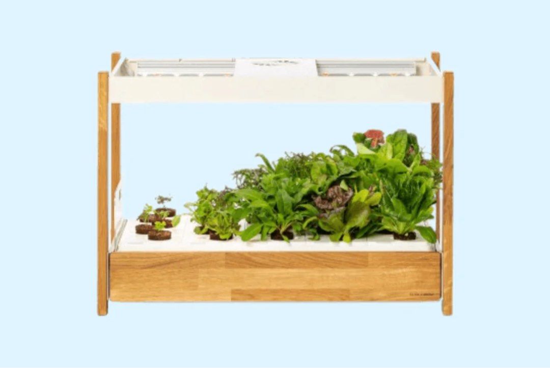 Click and Grow 25 smart garden planter, Furniture & Home Living ...