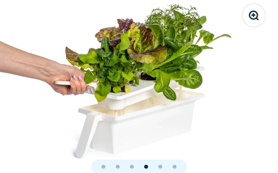 Click and Grow 25 smart garden planter, Furniture & Home Living ...
