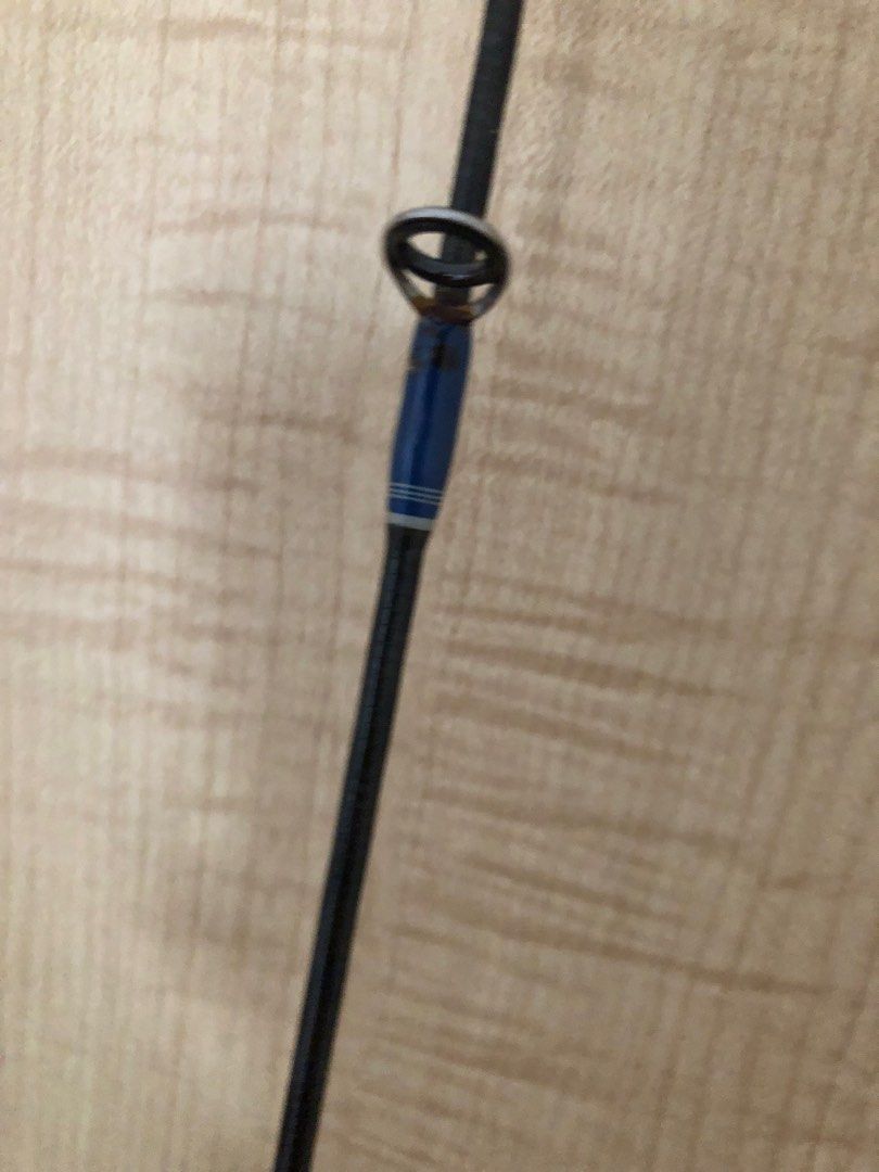 Custom PE 1 Jigging Spinning Fishing rod, Sports Equipment, Fishing on ...