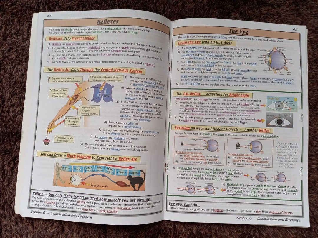 Edexcel Certificate International Igcse Biology Revision Guide Summary