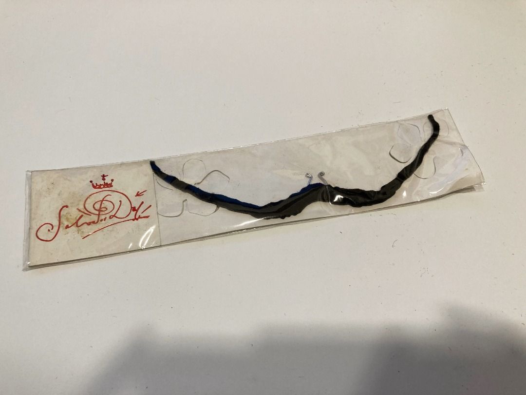 Fake Moustache from Salvador Dali Exhibition, Hobbies & Toys ...